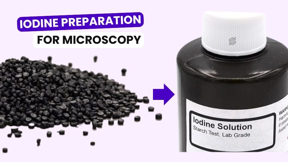 How to Prepare Gram’s Iodine in the Laboratory for Gram staining ...